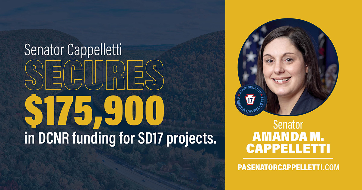 Senator Amanda M. Cappelletti announces grants for Community Parks ...