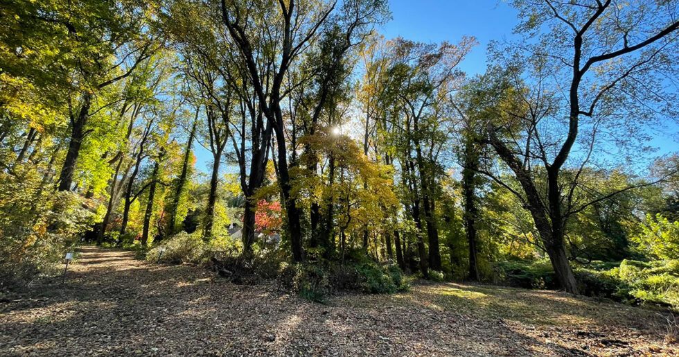 Senator Amanda M. Cappelletti and Representative Tim Briggs Announce ...