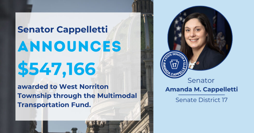 Senator Amanda Cappelletti
